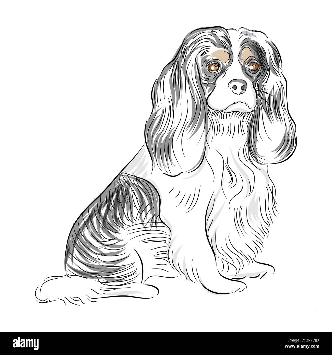 Line drawing illustration king Stock Vector Images - Alamy