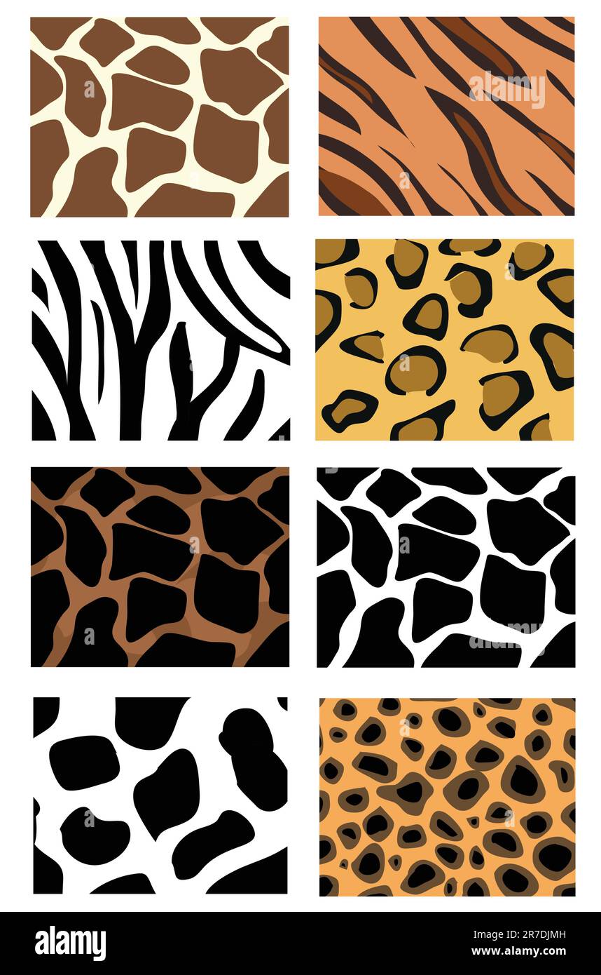 illustration of animal skin textures, background patterns Stock Vector ...