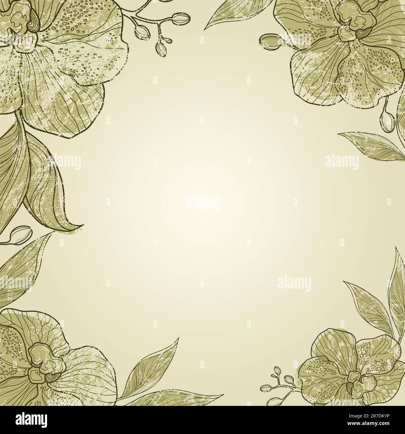 Vector vintage frame with flowers - orchid (from my big "Frame ...