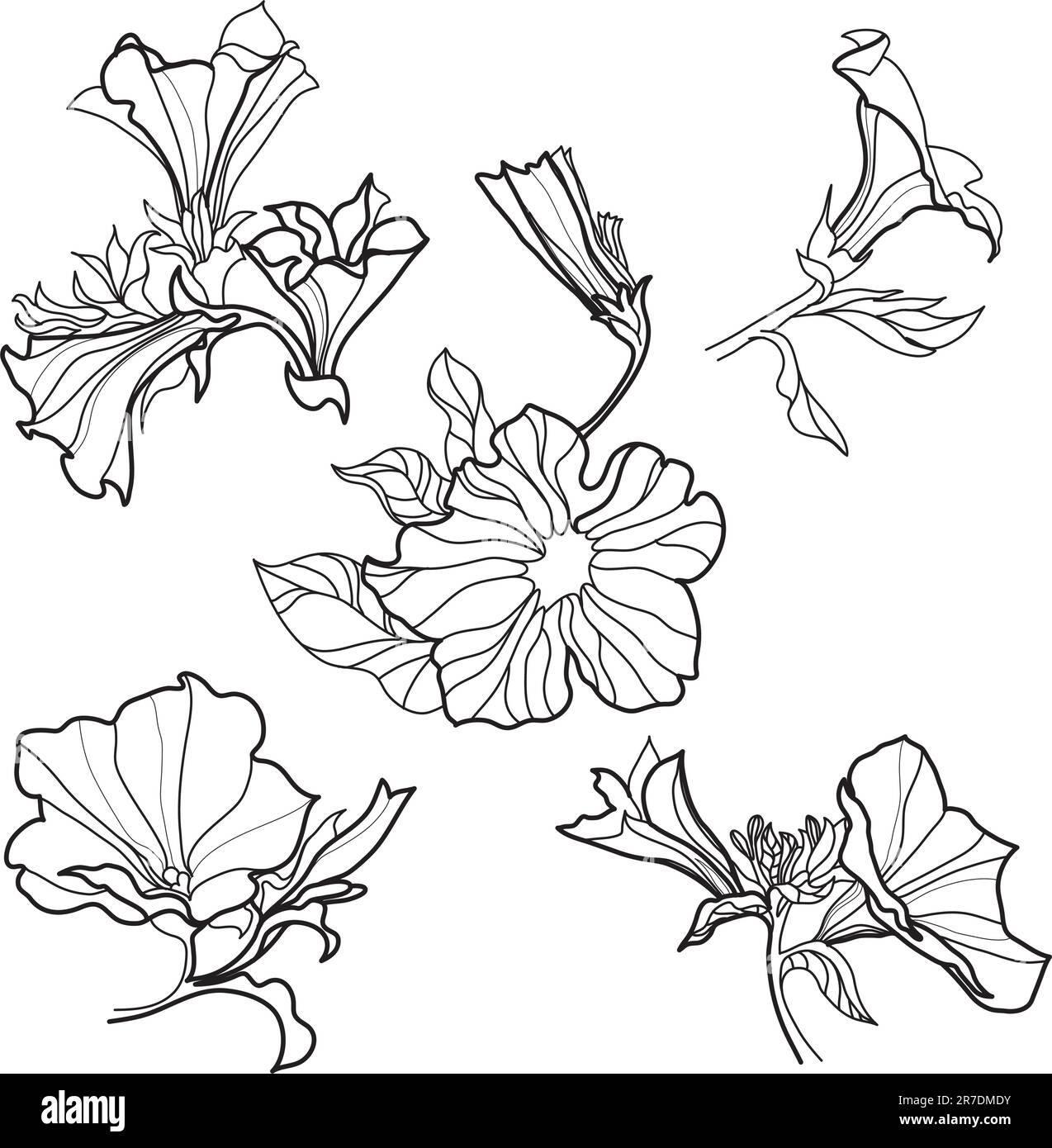 Vector set of bell-flowers design elements (from my big "Floral ...