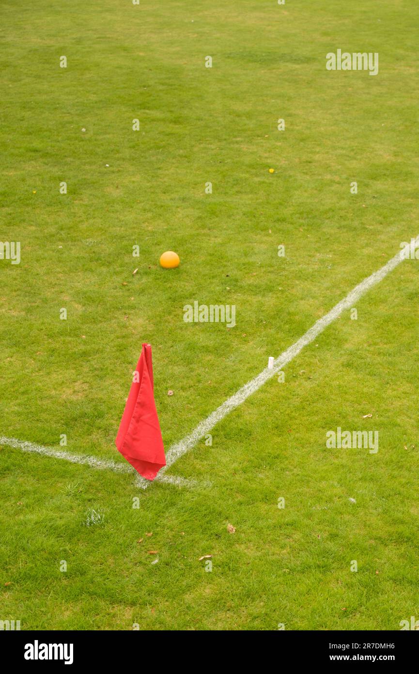 Croquet ball, flag and white lawn markings,The Exhibition Park ...