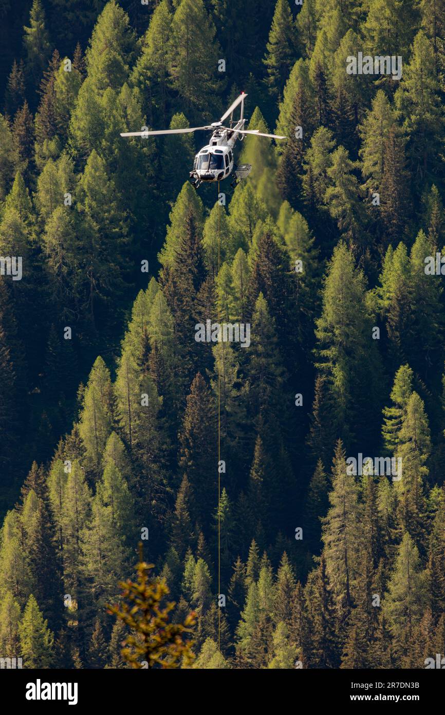helicopter flight transport over the forest in swiss alps Stock Photo ...