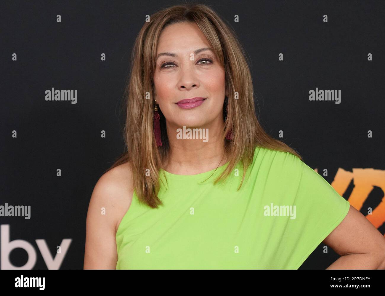 Los Angeles, USA. 14th June, 2023. Diana Lee Inosanto arrives at the ...