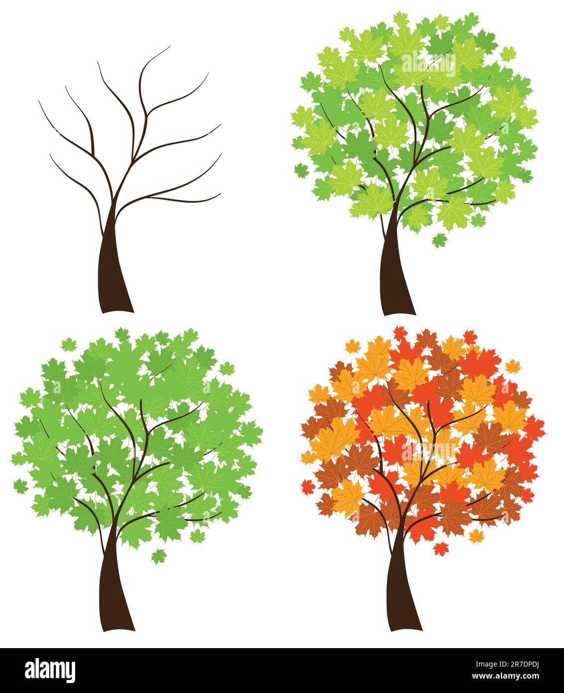 Colorful maple trees Stock Vector Images - Alamy