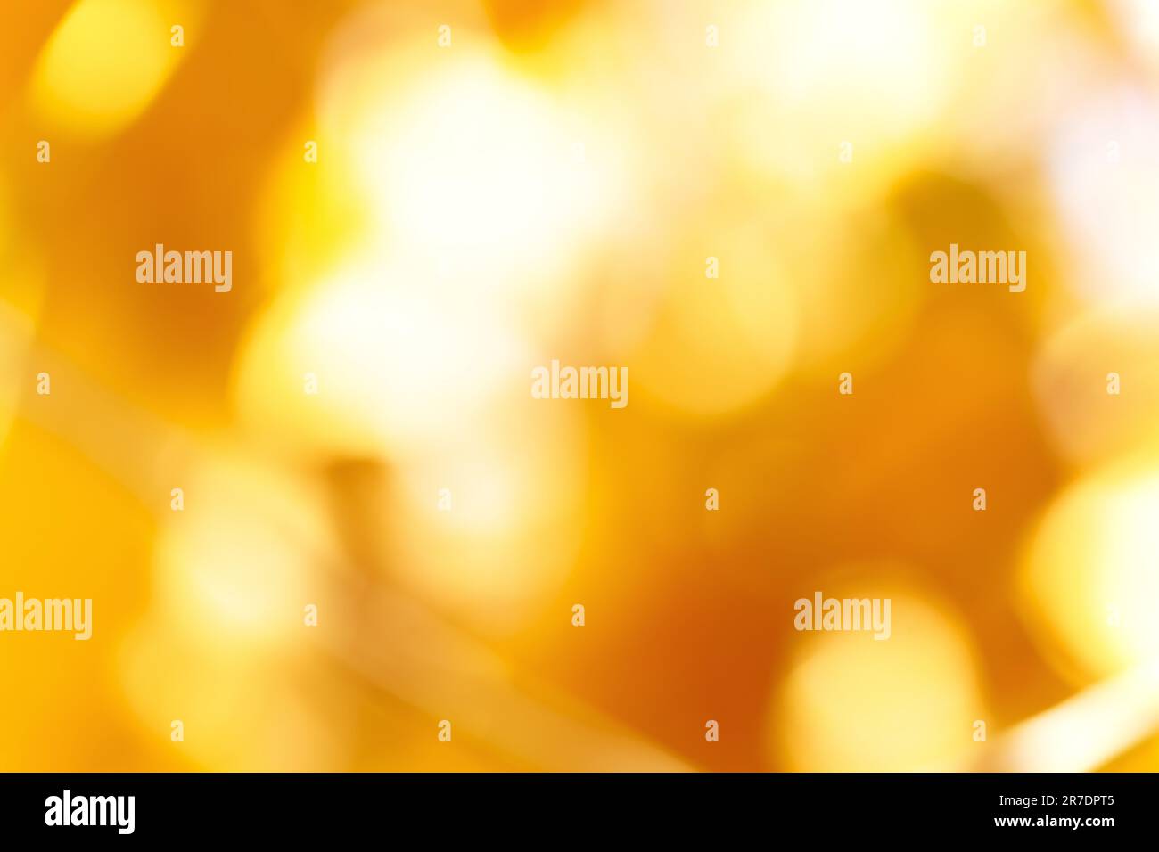 Blurred natural background with sun flares. Abstract blurred background ...