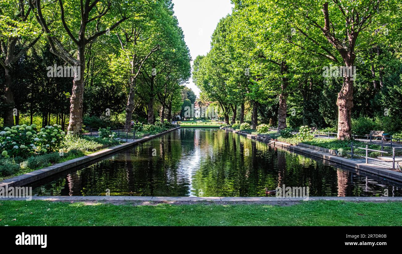 Rectangular pond and avenue of Plane trees in Summer in Von der ...