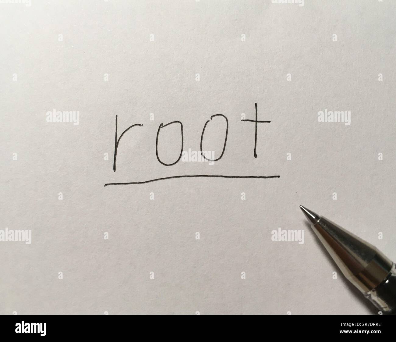 Root concept word on paper background Stock Photo - Alamy