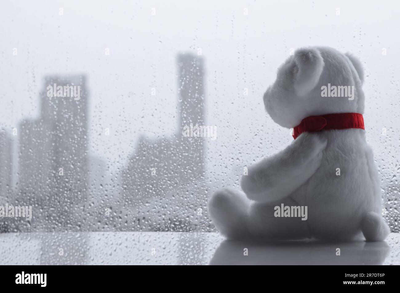 White teddy bear sitting alone and look at window in rainy day Stock ...