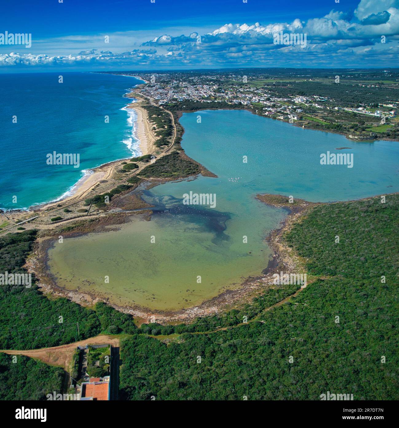Aerial view lush beach vertical hi-res stock photography and images - Alamy