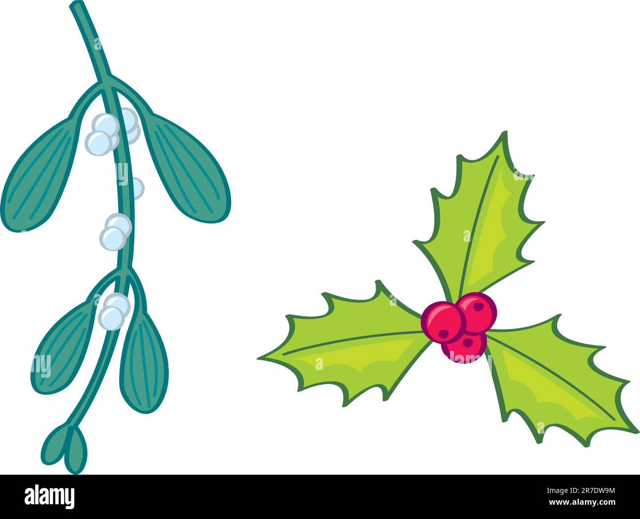 Cartoon depiction of a sprig of holly and a sprig of mistletoe, common ...