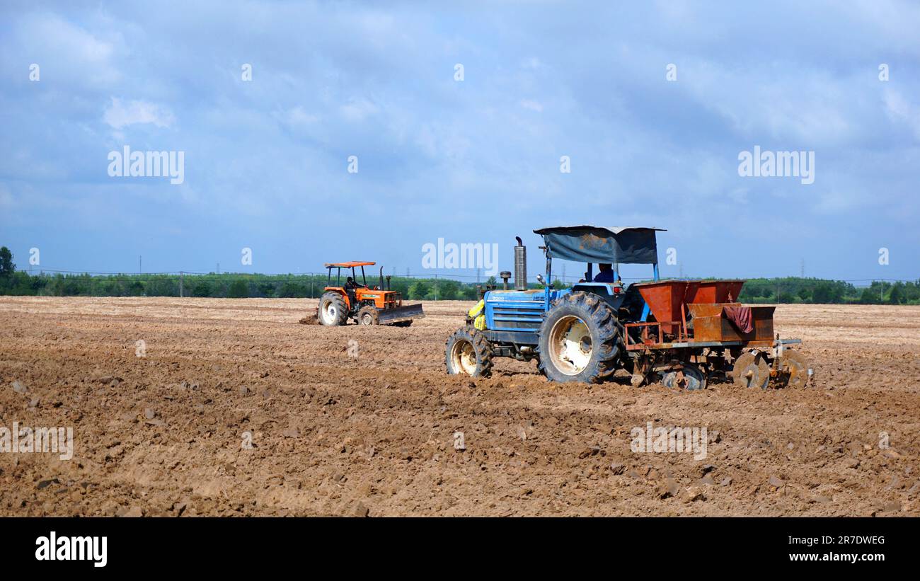 Cassava preparation hi-res stock photography and images - Alamy