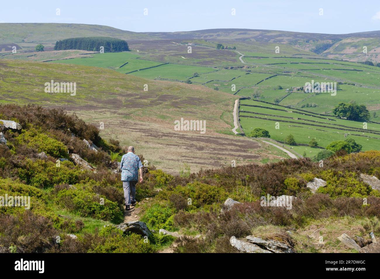 Haworth, West Yorkshire, UK. A man walking along Penistone Hill above ...