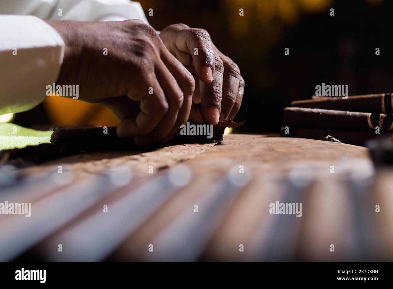 Tobacco process hi-res stock photography and images - Alamy