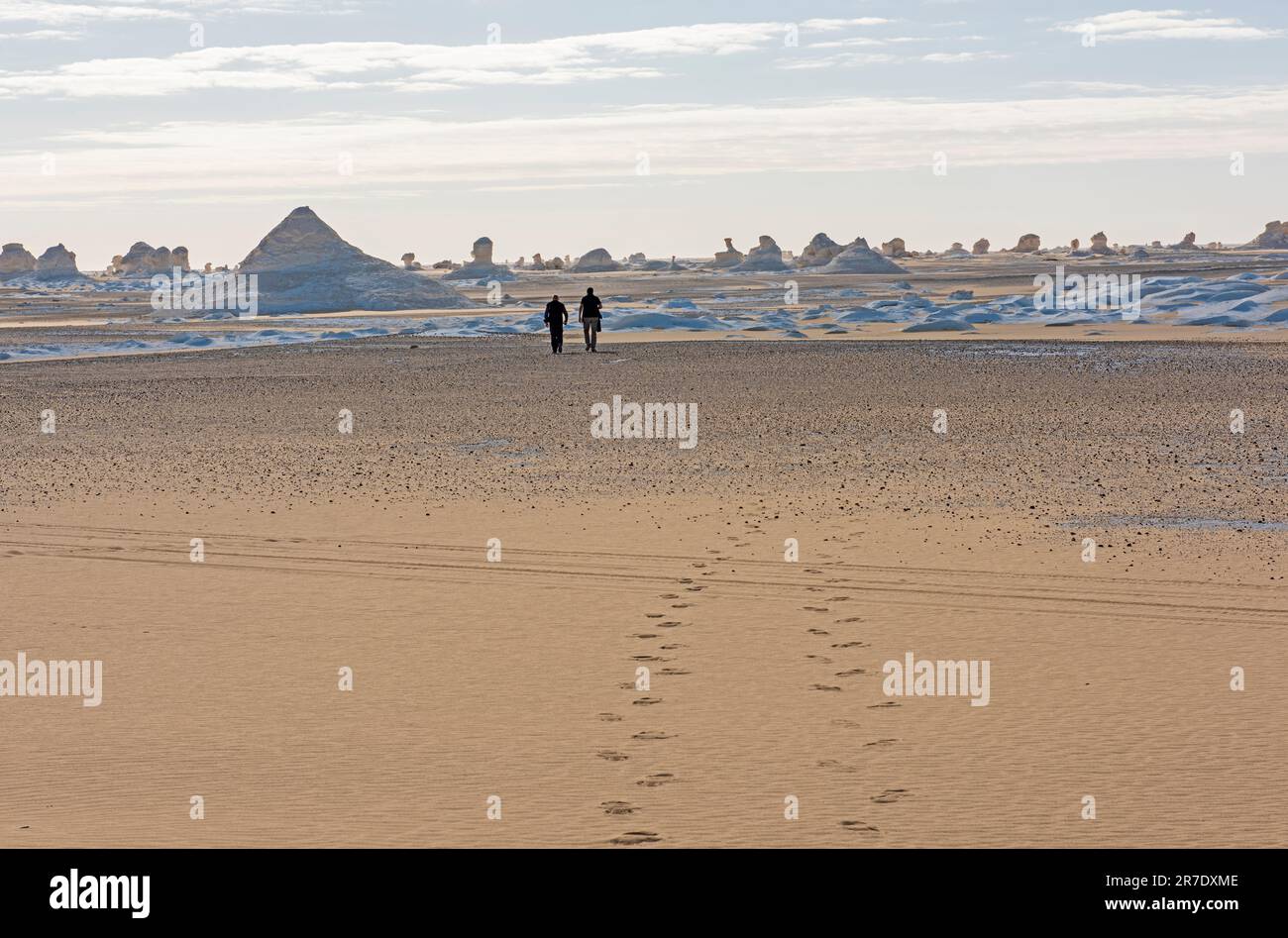 Landscape scenic panoramic view of desolate barren western white desert ...