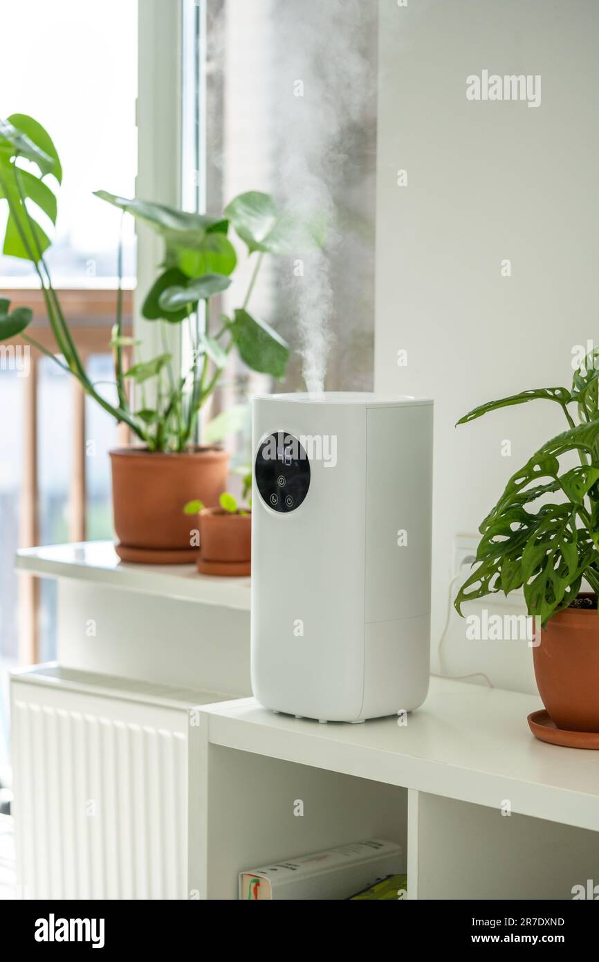 Modern humidifier at home, moistens dry air surrounded by indoor plant ...