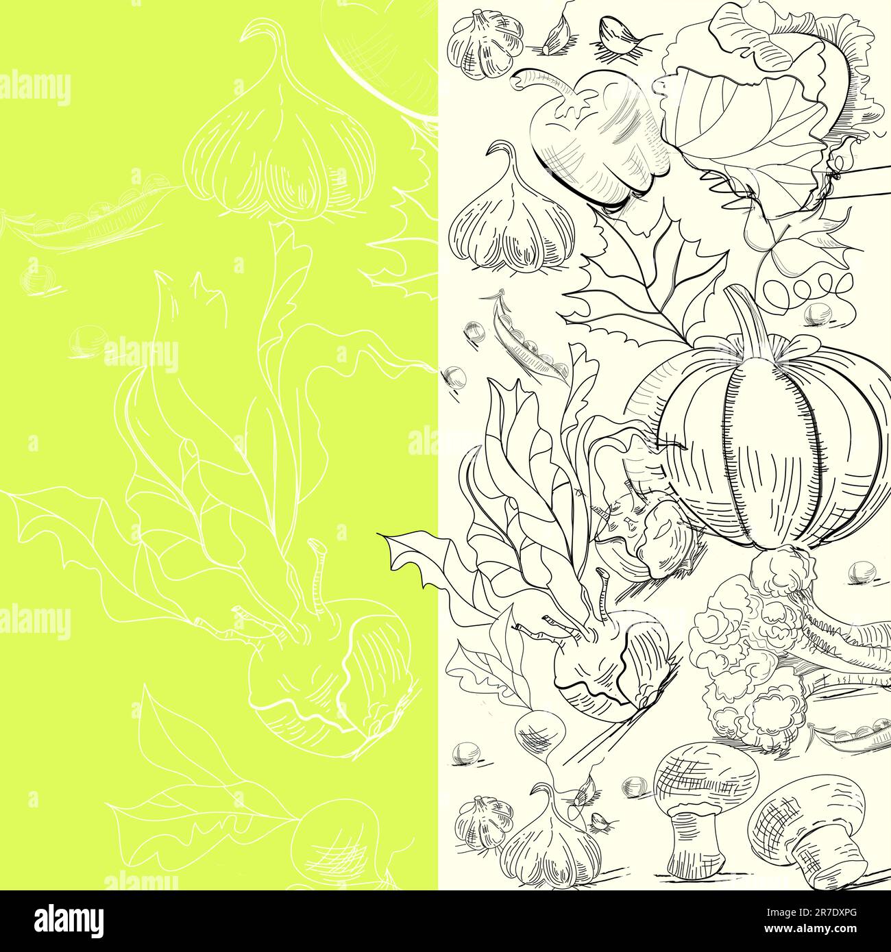 Kohlrabi organic vegetable Stock Vector Images - Alamy