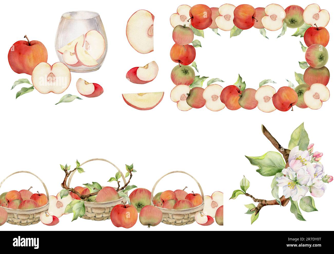 Hand drawn watercolor set with frames, wreaths and compositions. Apple ...