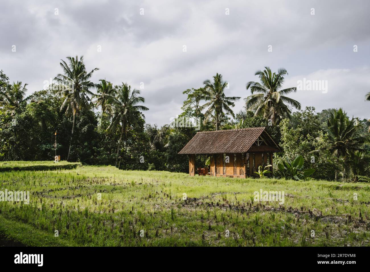 Farmer barn on rice field. Balinese agriculture landscape, bali rice ...