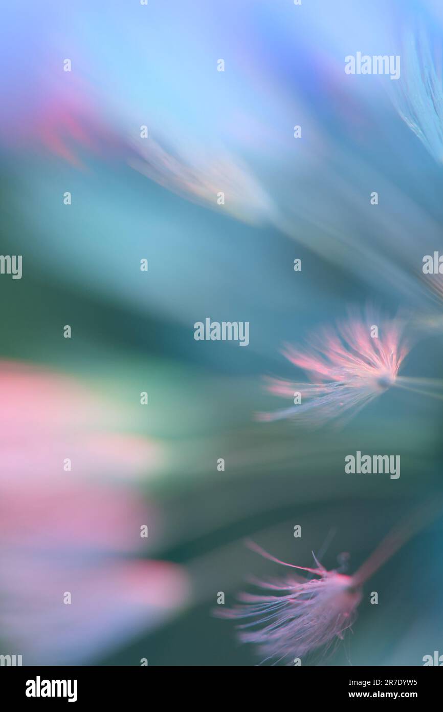 Blurred delicate background. Floral, rainbow. Abstract soft pastel ...