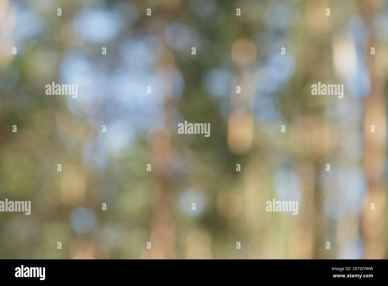 Blurry natural background. Sunny day. Beautiful garden. Abstract ...