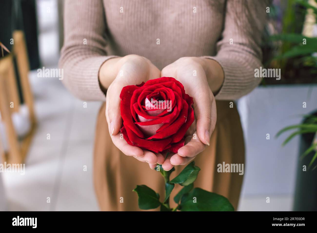 Datings hi-res stock photography and images - Alamy