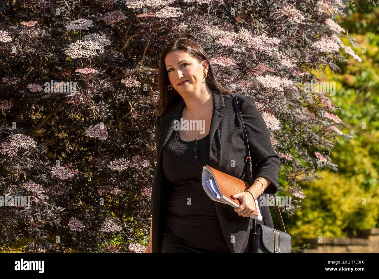 DUP MLA Emma Little-Pengelly arriving at Stormont Castle, in Belfast ...