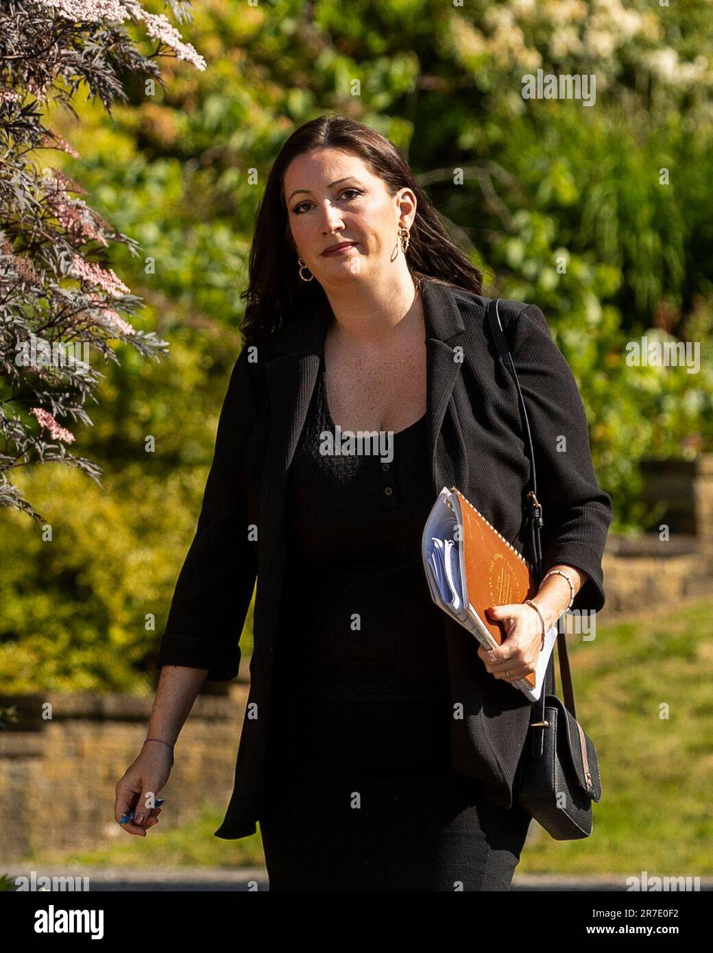DUP MLA Emma Little-Pengelly arriving at Stormont Castle, in Belfast ...