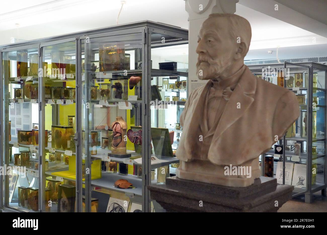 Berlin, Germany. 12th June, 2023. Liver preparations, among other ...