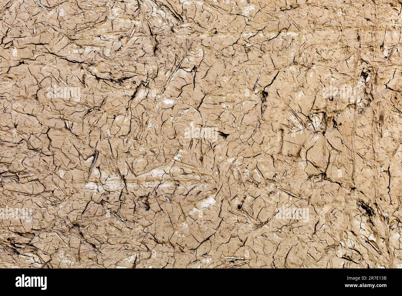 Textured plaster background to create a background or textures for the ...