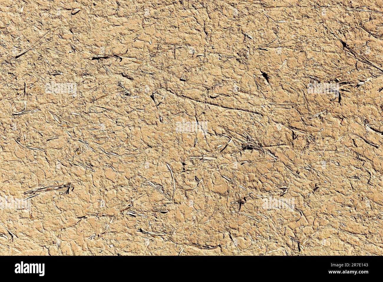 Textured plaster background to create a background or textures for the ...