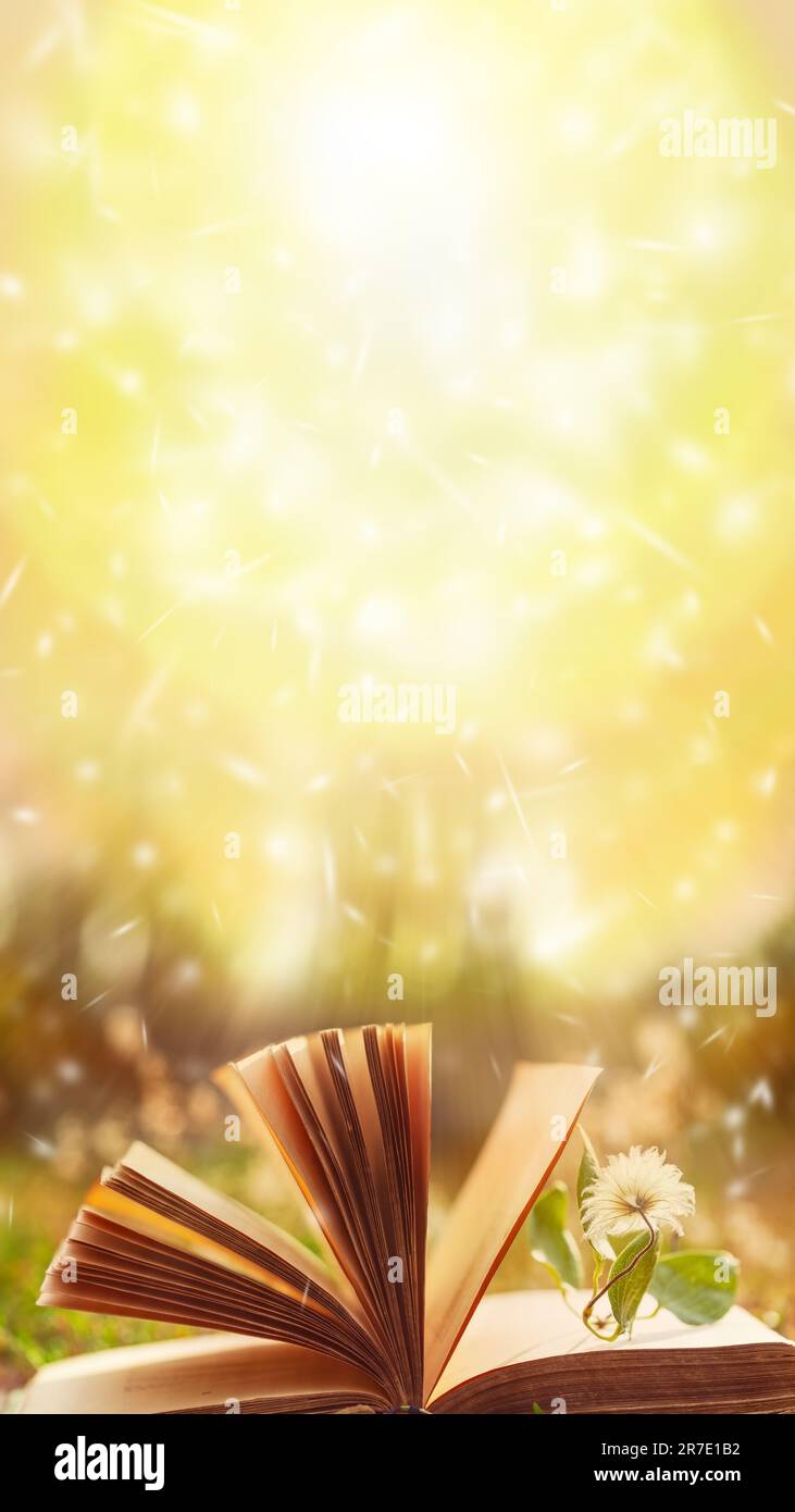 Open book. Natural warm background with an open book. Blurred ...