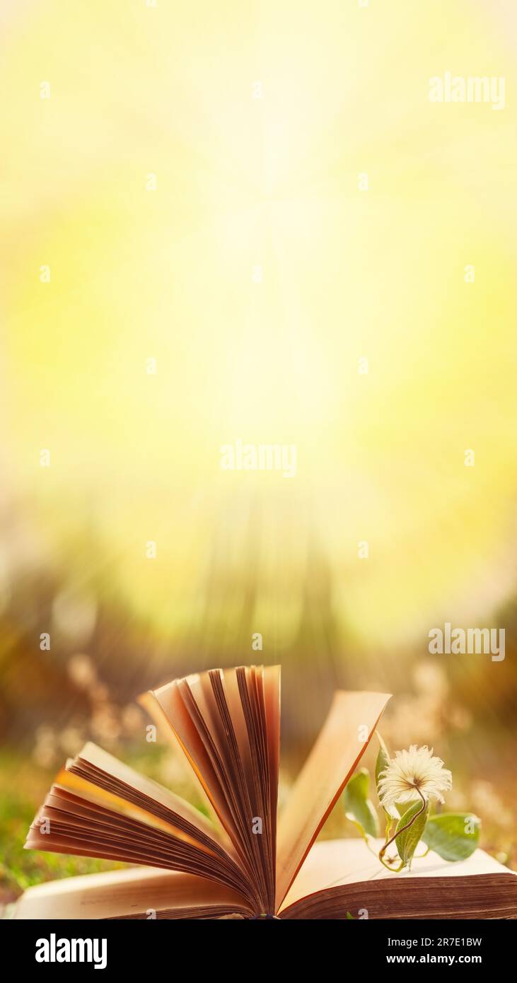 Open book. Natural warm background with an open book. Blurred ...