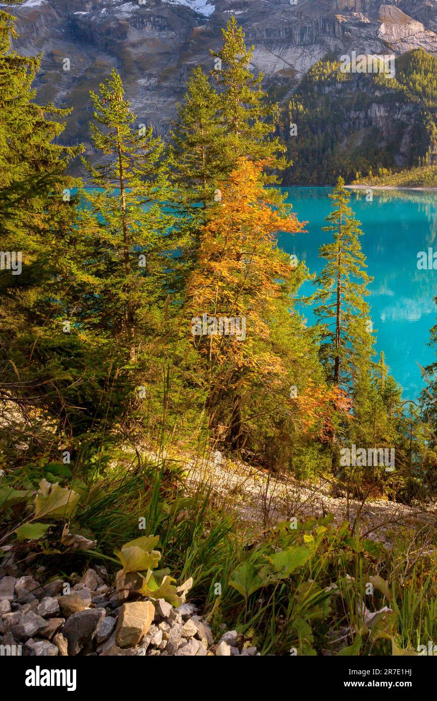Autumn panorama of Oeschinensee Oeschinen lake and Alps near Kandersteg ...