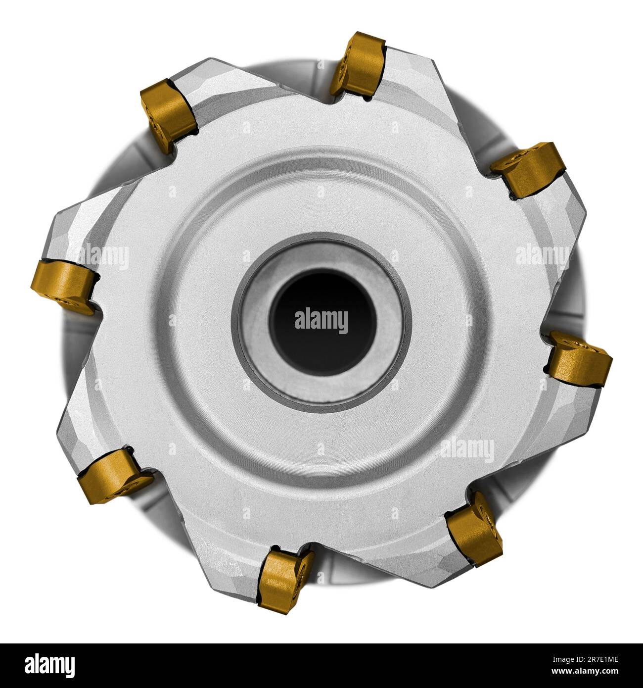 Sharp edges plant Cut Out Stock Images & Pictures - Alamy