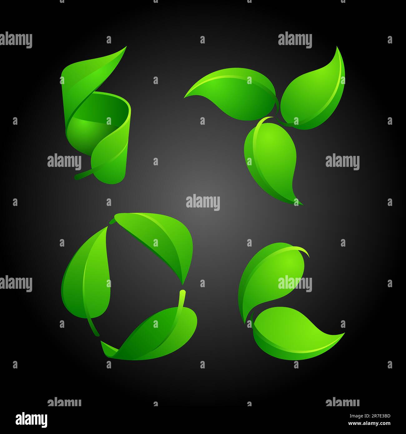 isolated foliage design element set Stock Vector Image & Art - Alamy