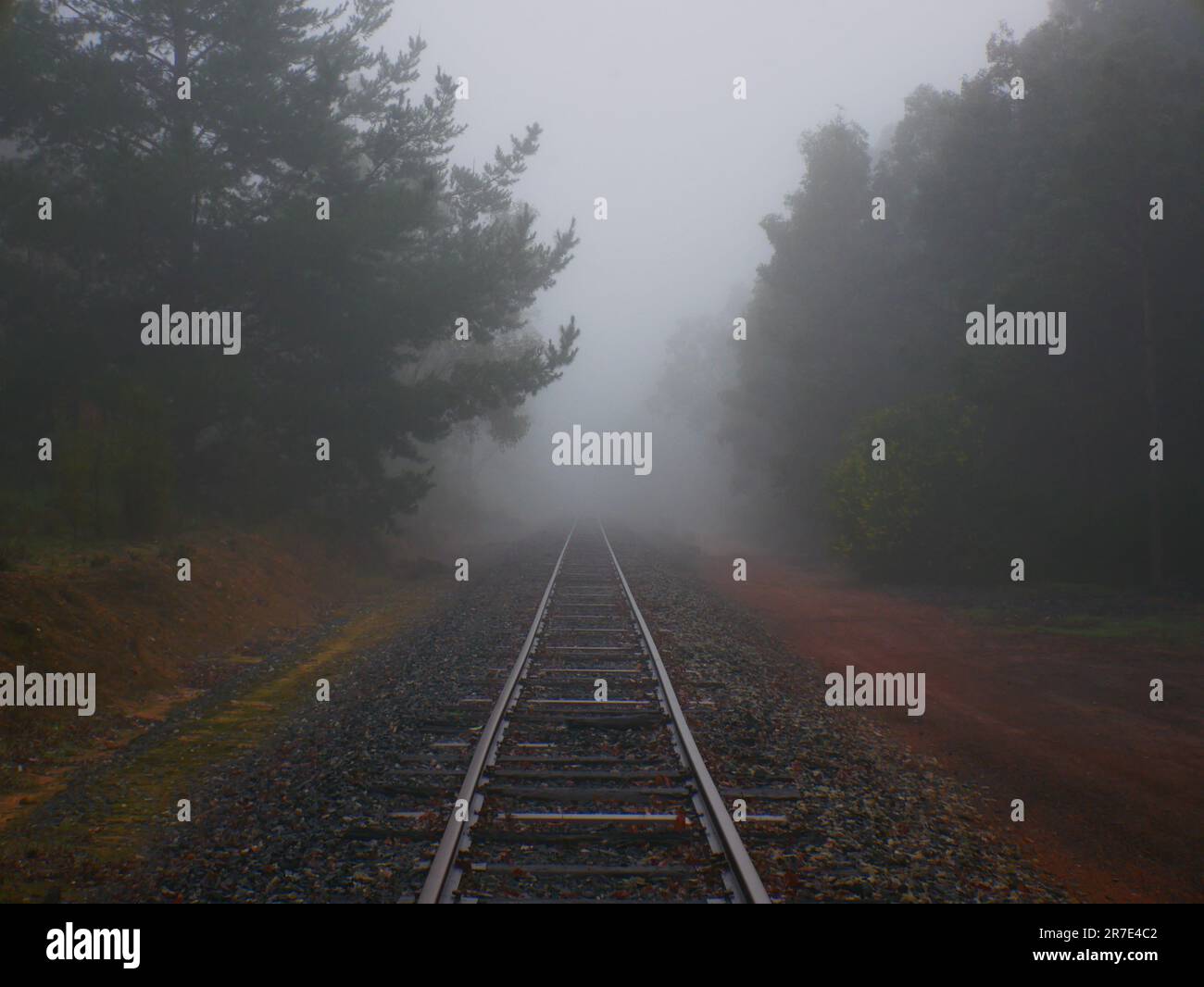 Foggy Train Tracks, Southern Region of Western Australia Stock Photo - Alamy