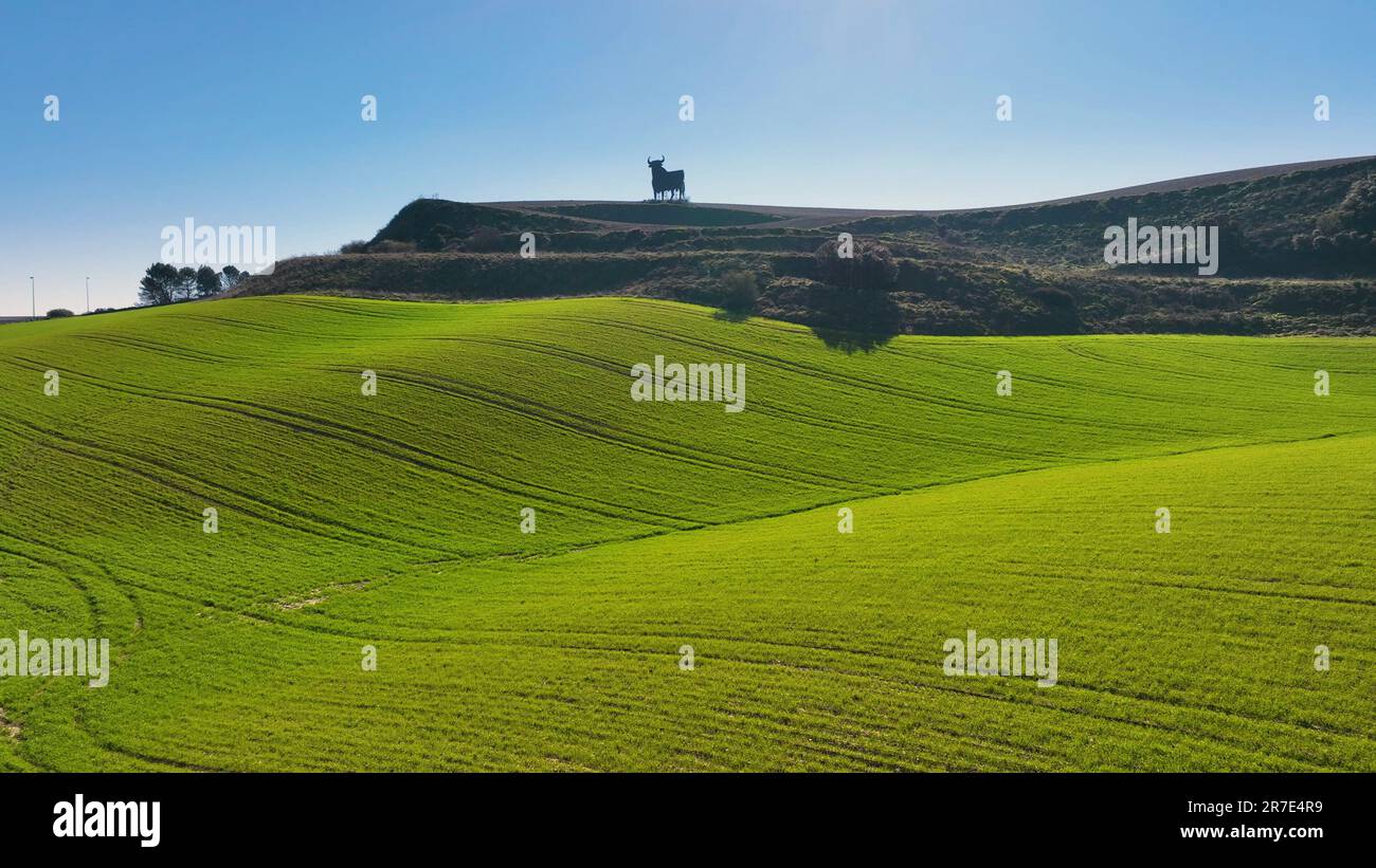Aerial view of The bull of Osborne is a huge silhouette . cultural ...