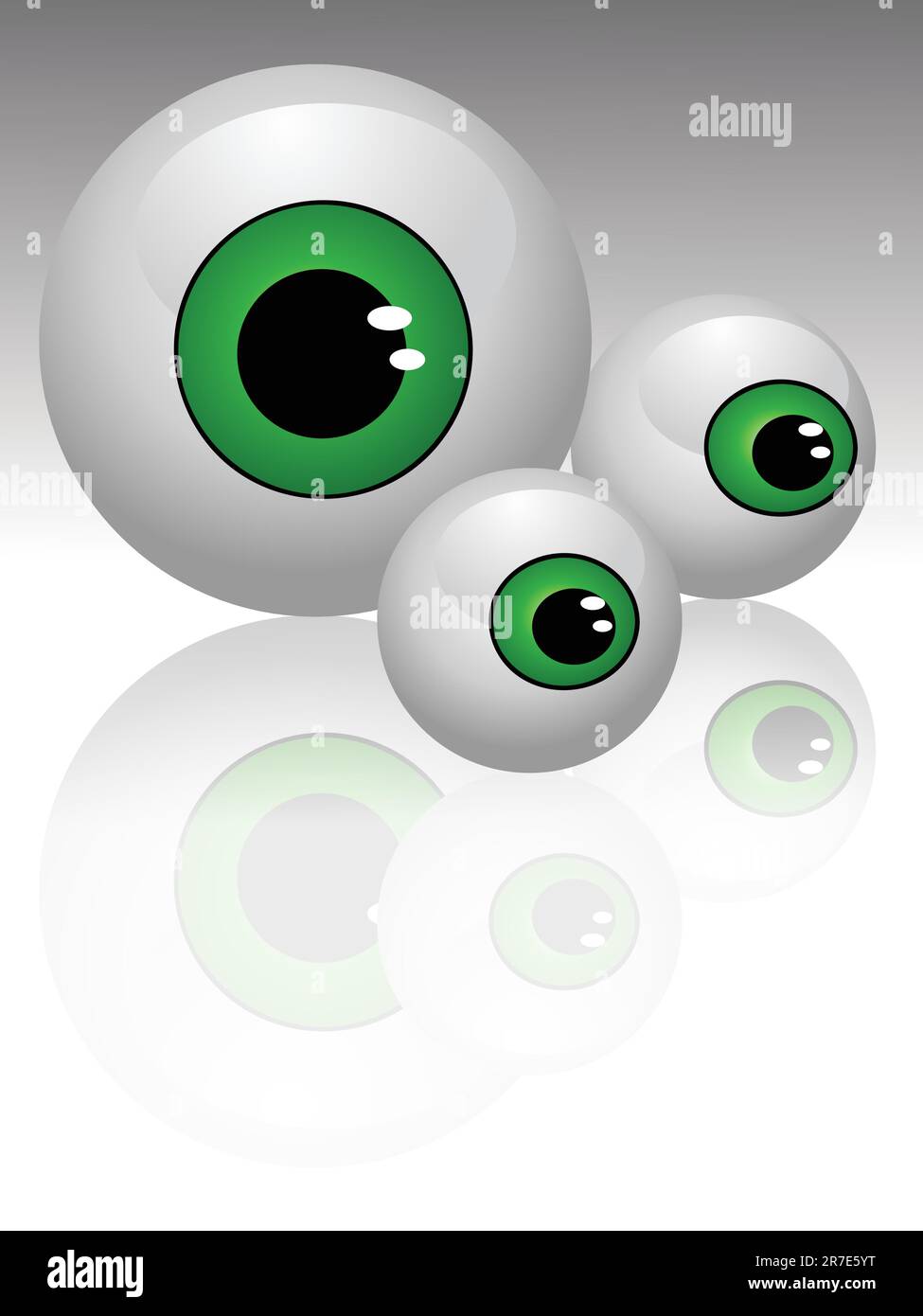 Eyelid anatomy hi-res stock photography and images - Alamy