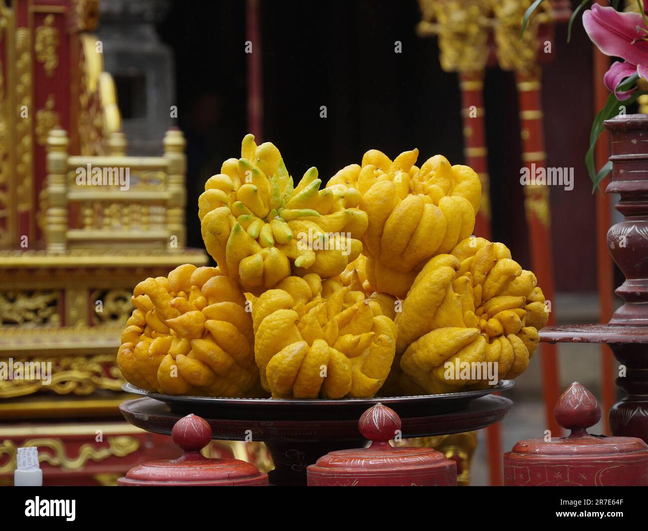 Vietnam, Hoa Lu, Dinh Emperor's Grave, Buddha's Hand, citrus medica ...