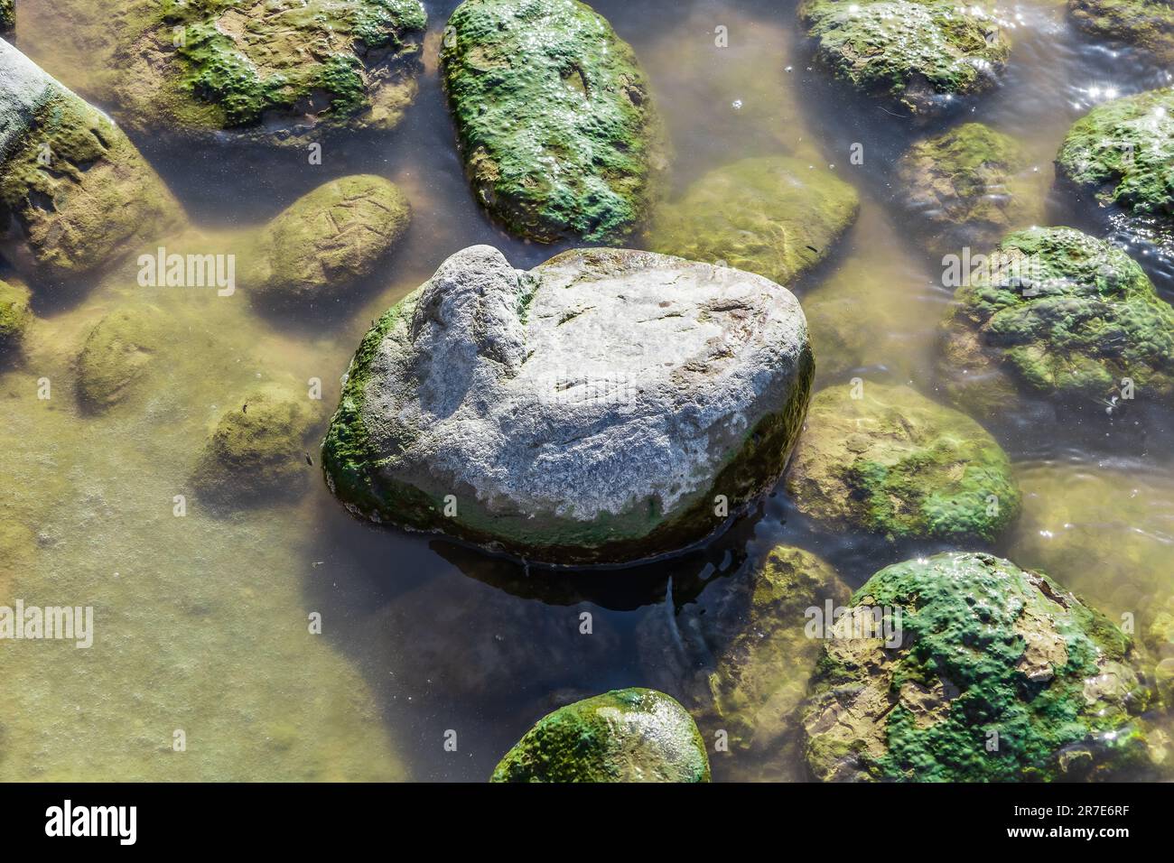 Stillnesses hi-res stock photography and images - Alamy