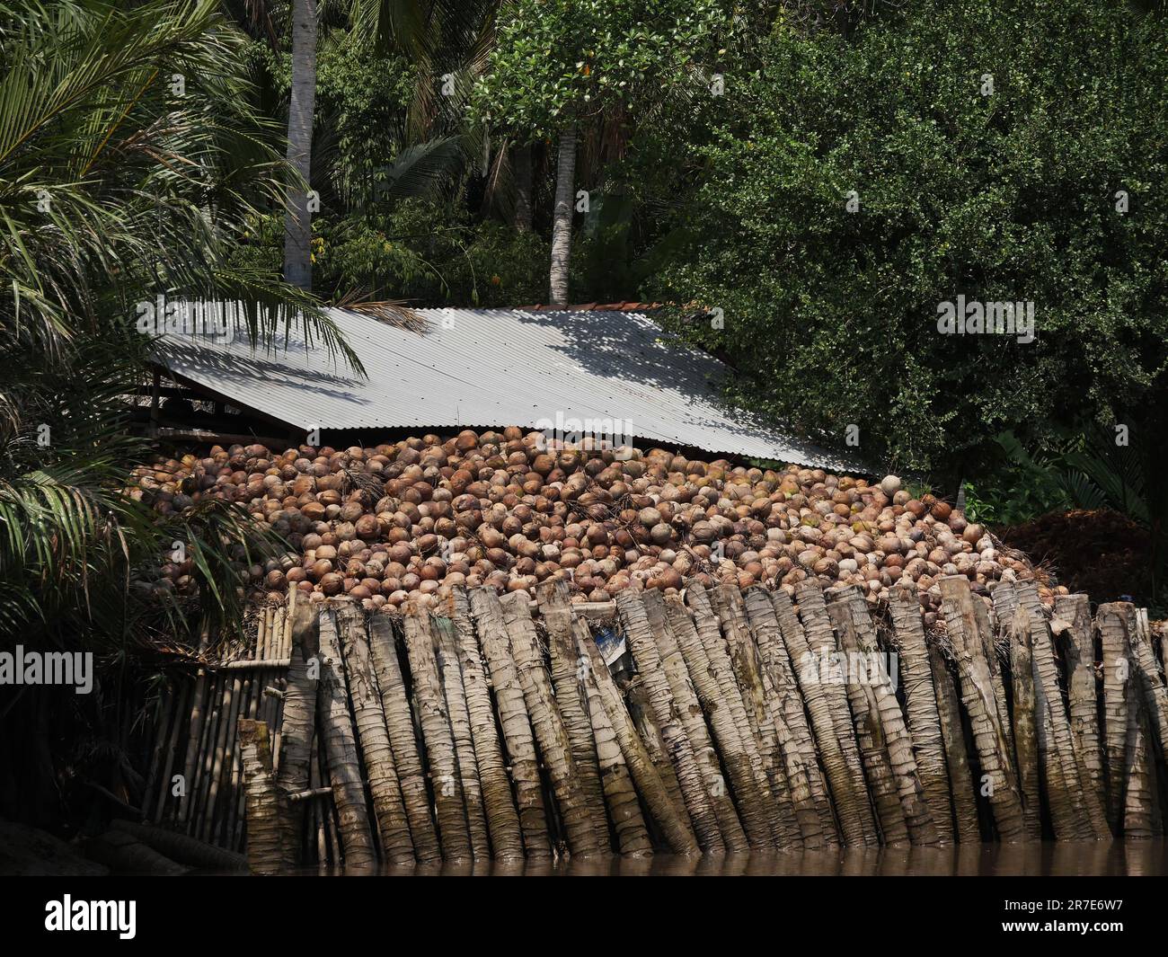 Vietnam, Mekong Delta, Coconut Factory Stock Photo - Alamy