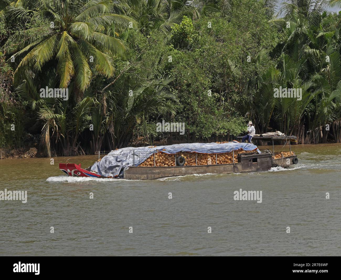 Coconut boat mekong delta hi-res stock photography and images - Alamy