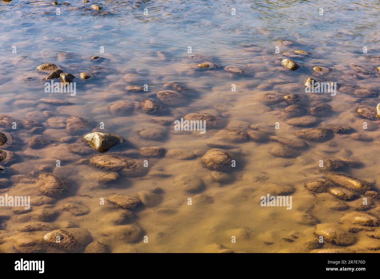 Stillnesses hi-res stock photography and images - Alamy