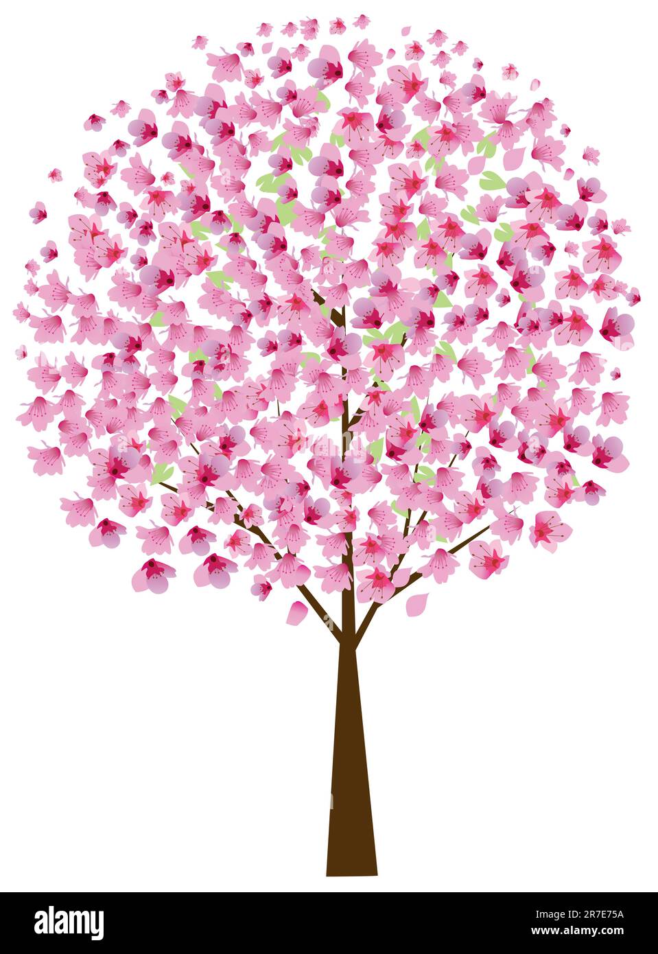 vector illustration of a cherry tree in blossom Stock Vector Image ...