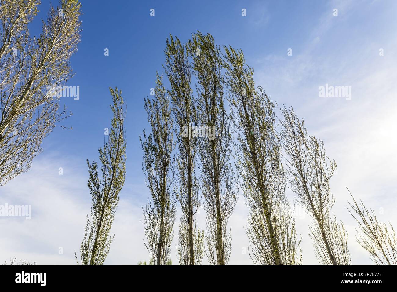 Asian sceneries hi-res stock photography and images - Alamy