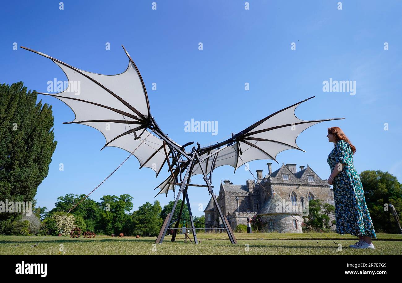 A person looks at the sculpture 'The Flying Machine' by artist Michael ...