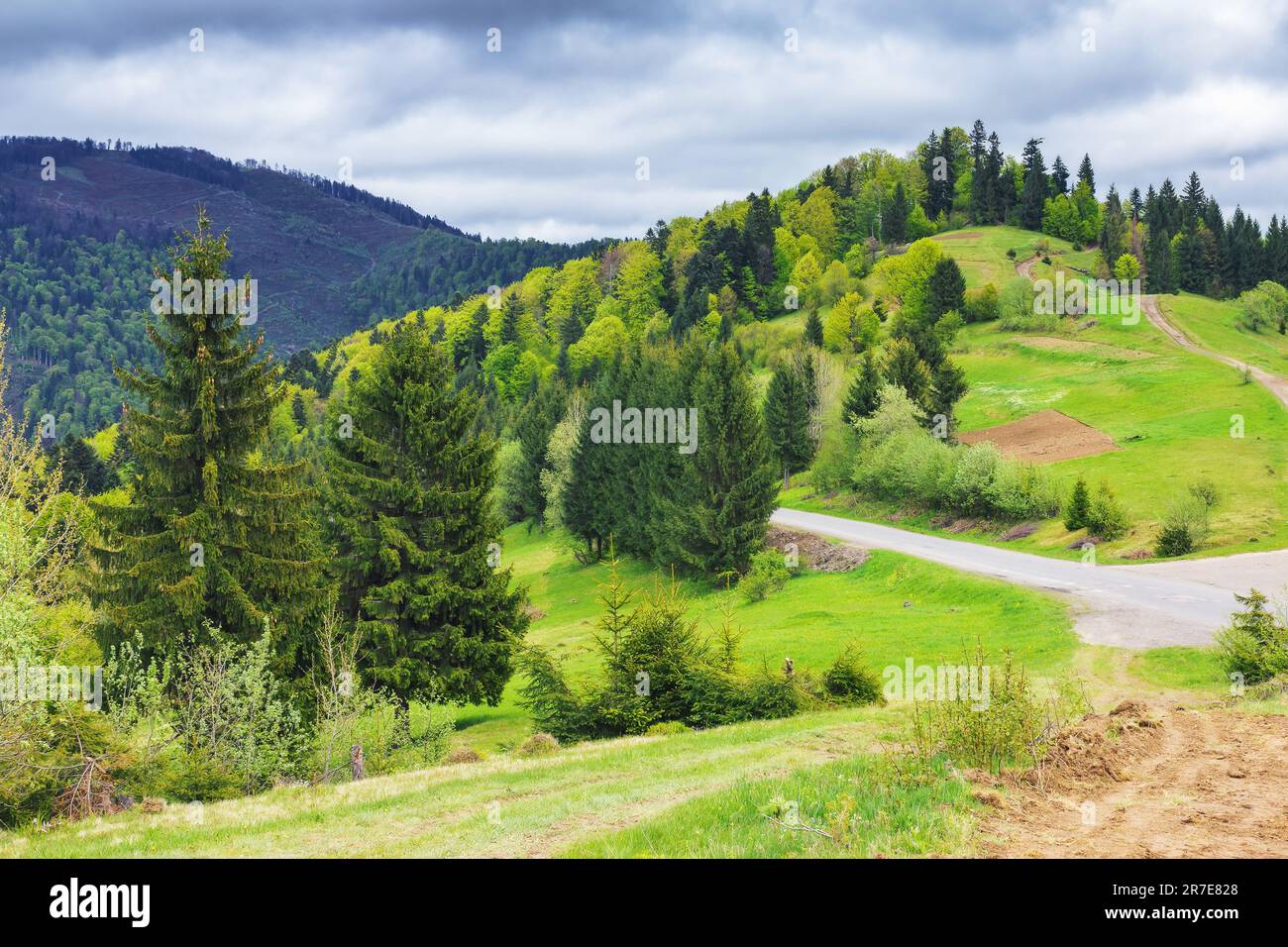 fresh morning and peacefulness of the rural mountain landscape. scenery ...