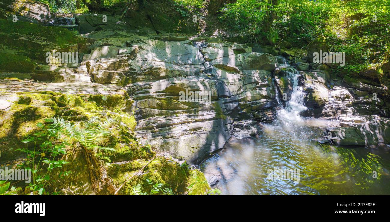 moss covered stones in the brook. nature landscape in the woods; river ...