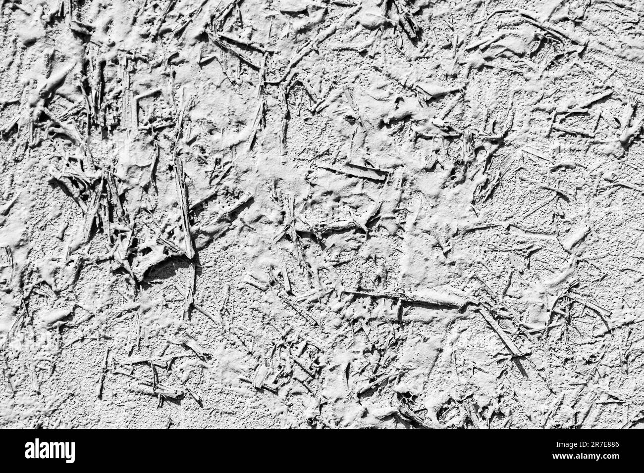 Textured plaster and paint background to create a background or ...