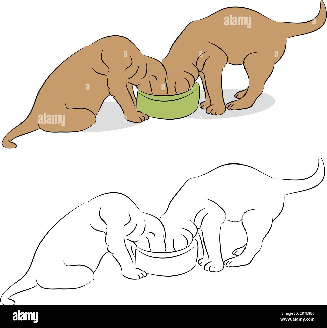An image of a two Labrador puppies eating from a dog bowl Stock Vector ...